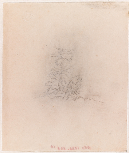 Poncif : lièvre sur le qui-vive au pied d'un arbre - Emile Gallé | Musée d'Orsay