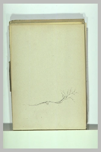 Etude d'arbre - Léonide Bourges | Musée d'Orsay