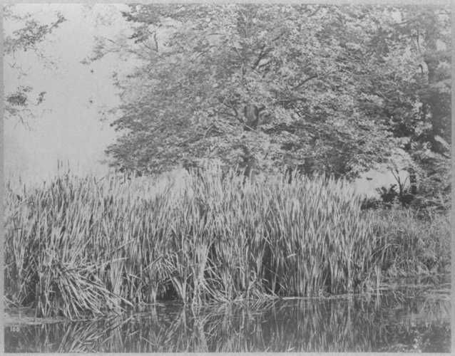 Etude d'après nature - Achille Quinet | Musée d'Orsay