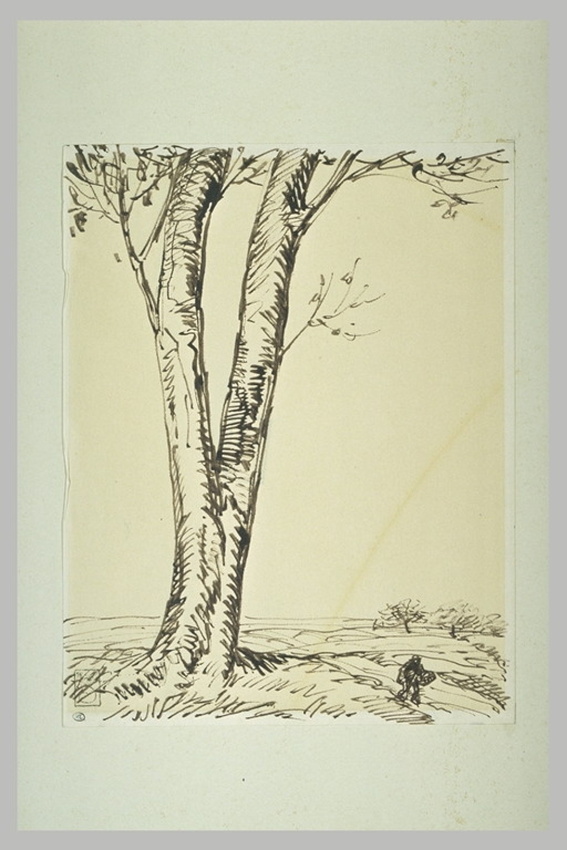 Arbre à double tronc dominant un paysage - Théophile Alexandre Steinlen | Musée d'Orsay