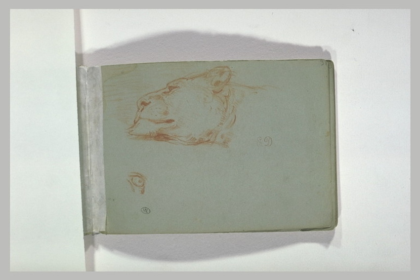 Etude de fauve - Pierre Andrieu | Musée d'Orsay