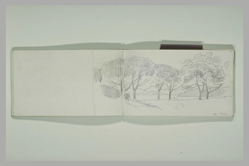 Pins parasols en bordure de mer à Léoubes - Emile René Ménard | Musée d ...