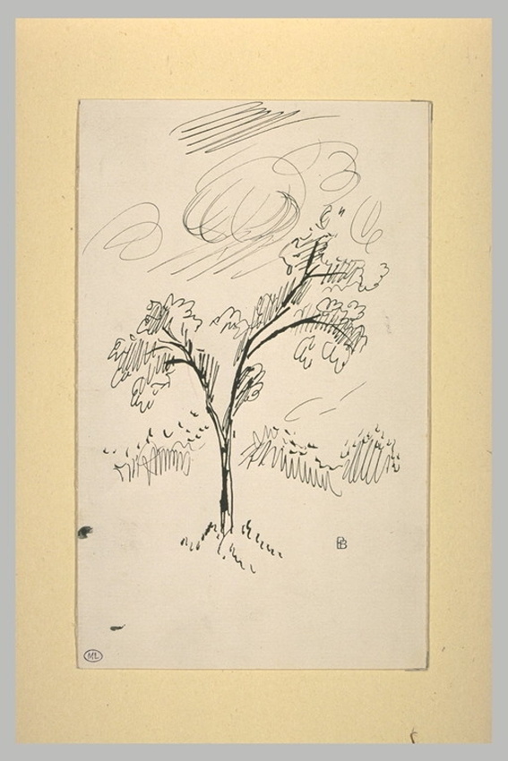 Etude d'arbre au tronc grèle - Pierre Bonnard | Musée d'Orsay