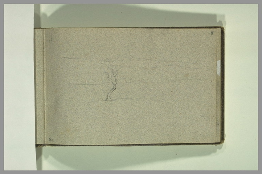 Croquis d'arbre - Léon Belly | Musée d'Orsay