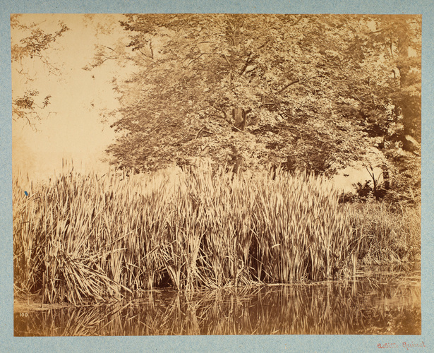 Etude d'après nature - Achille Quinet | Musée d'Orsay