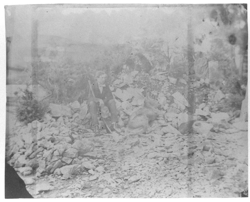 Portrait de l'un des fils de la famille Denys (?) - Mary Jane Matheson ...