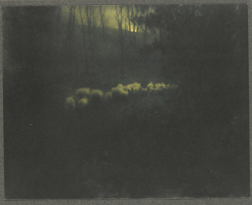 Pastoral - Moonlight - Edward Steichen | Musée d'Orsay