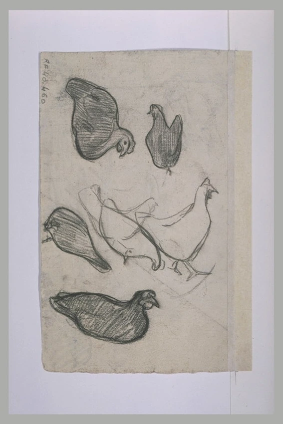 Croquis de poules - Mogens Ballin | Musée d'Orsay