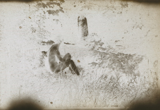 Pierre Bonnard de profil, assis dans l'herbe - Maria Boursin | Musée d ...