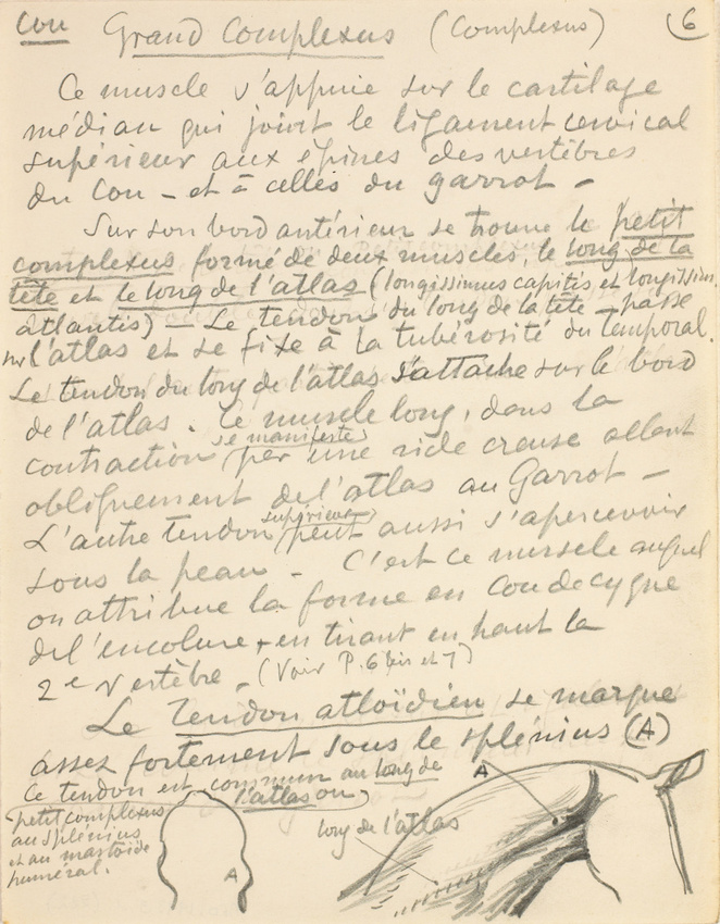 Un cheval - Eugène Grasset | Musée d'Orsay