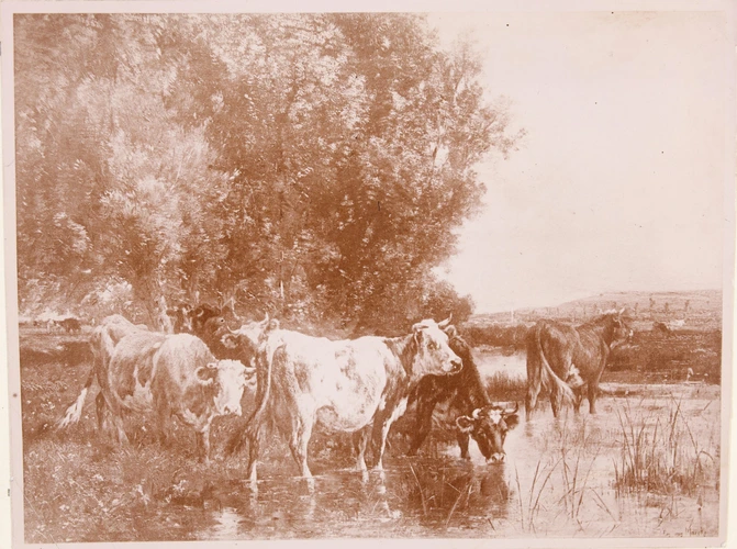 Photographie d'un tableau de Jean Van Marcke (troupeau de vaches s ...