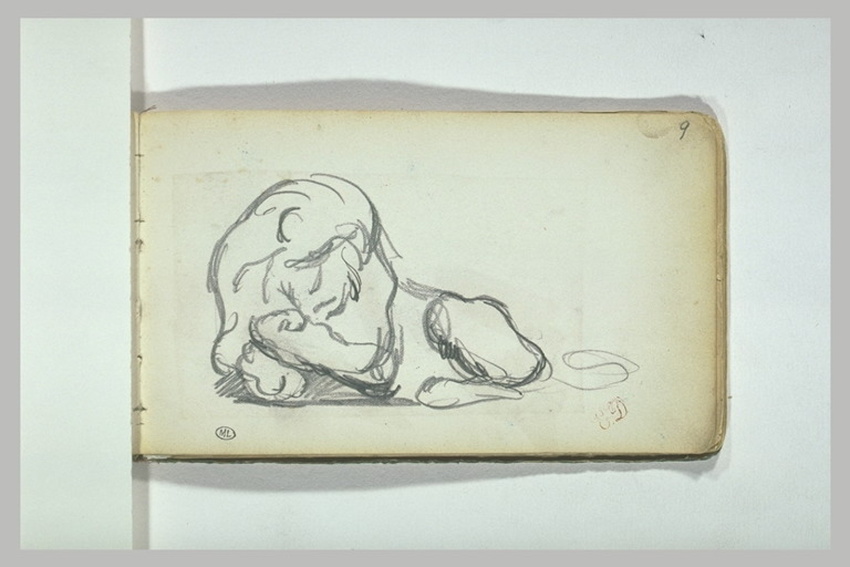 Lion - Pierre Andrieu | Musée d'Orsay