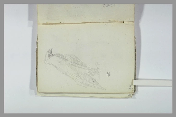 Croquis d'un rapace - Henri Chapu | Musée d'Orsay
