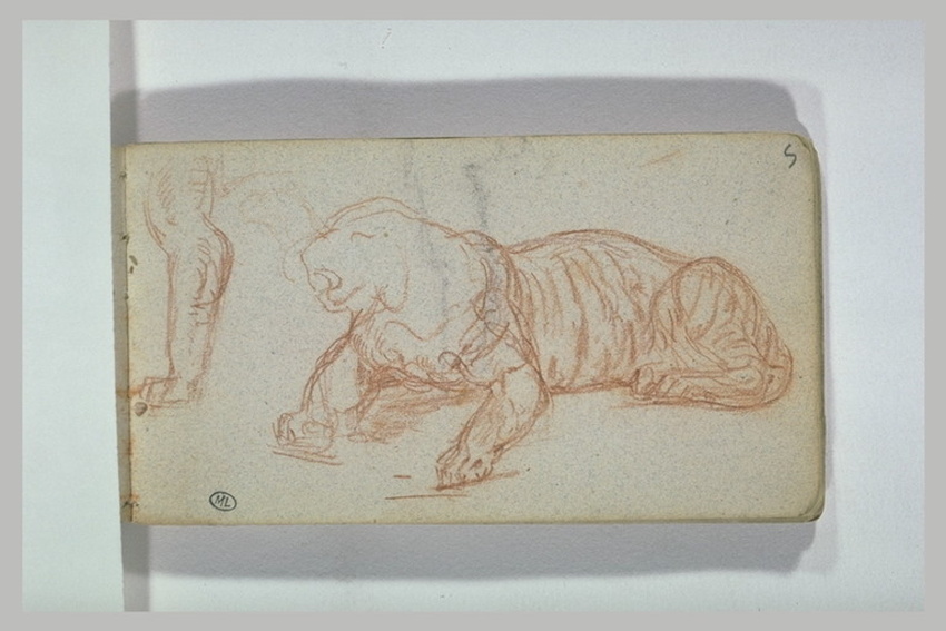 Etude de fauve - Pierre Andrieu | Musée d'Orsay