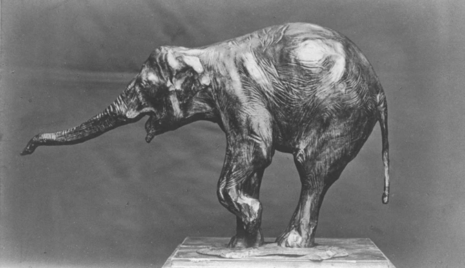 Eléphant blanc - Rembrandt Bugatti | Musée d'Orsay