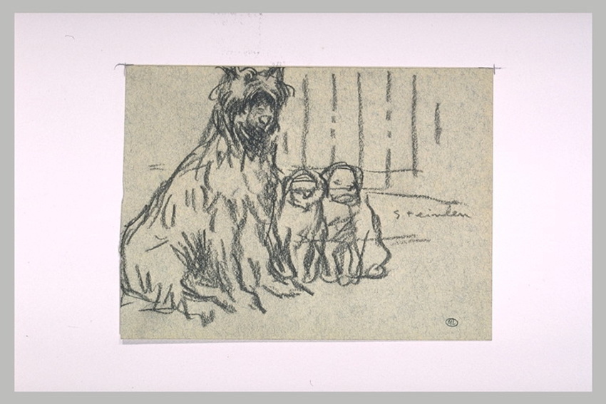 Trois chiens assis - Théophile Alexandre Steinlen | Musée d'Orsay