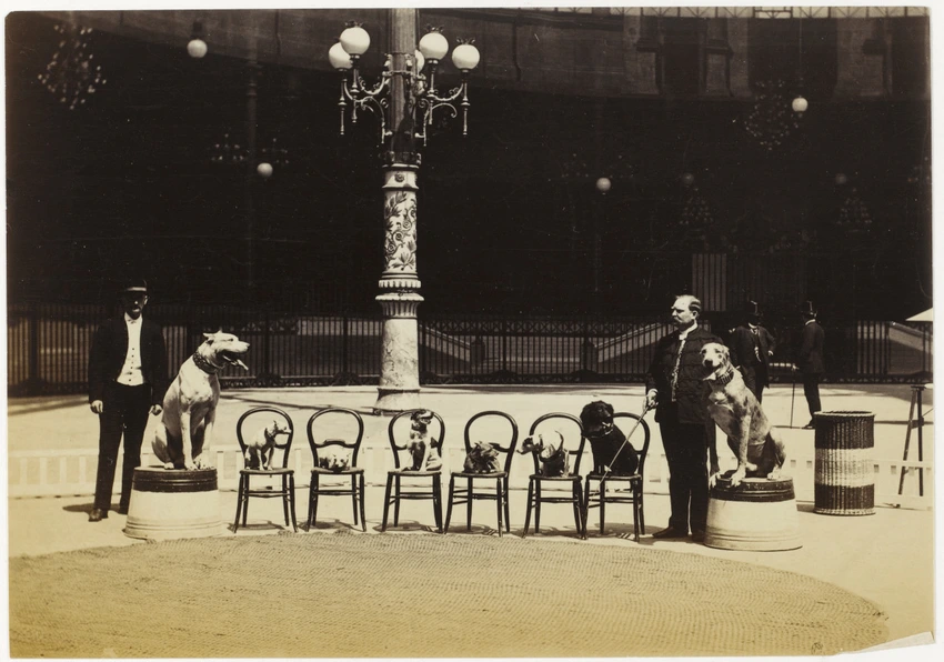 Hippodrome de l'Alma, huit chiens assis et leurs dresseurs - Albert ...