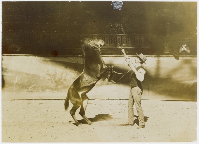 Hippodrome de l'Alma, dresseur et son cheval - Albert Londe | Musée d'Orsay