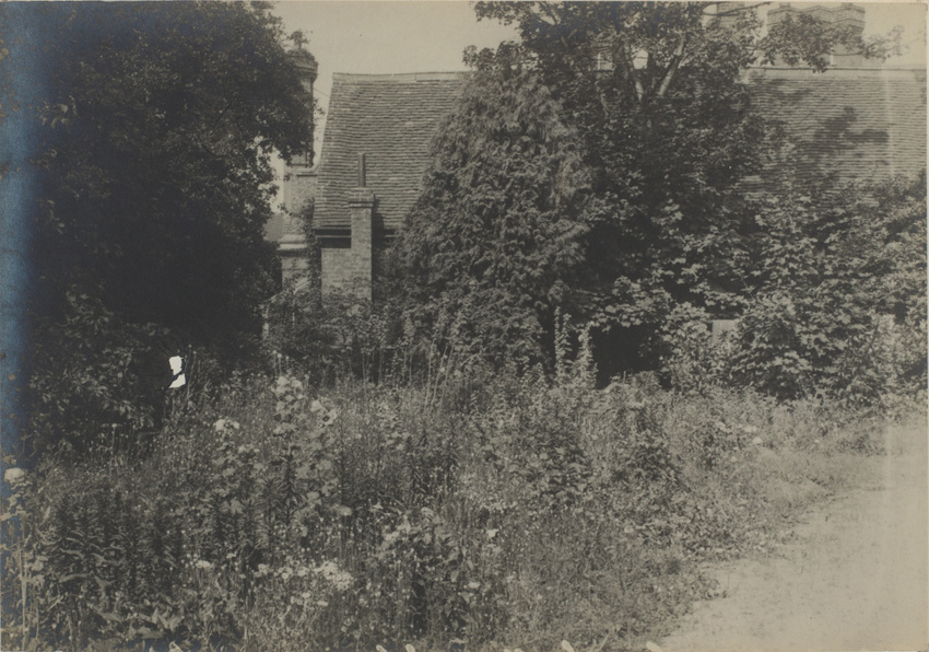 Vue, toit d'une maison dans un jardin - Théophile Chauvel | Musée d'Orsay