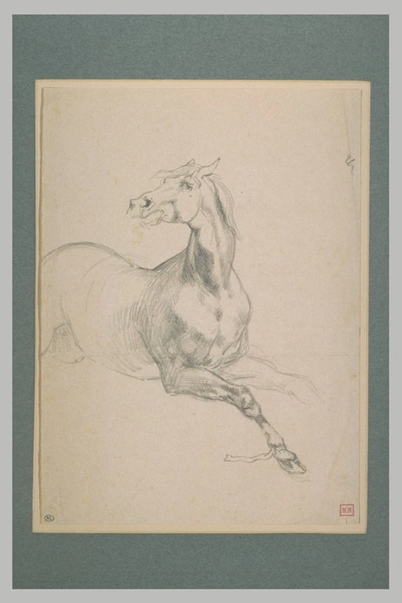 Cheval couché sur le ventre, jambes en avant, relevant la tête ...