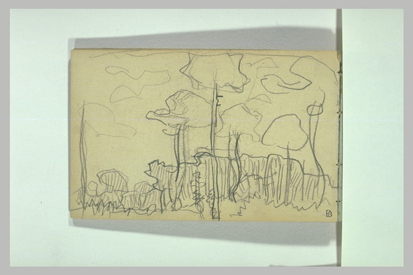 Paysage avec arbres - Pierre Bonnard | Musée d'Orsay