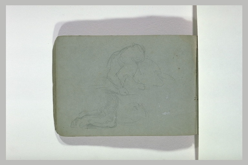 Croquis de fauves - Pierre Andrieu | Musée d'Orsay