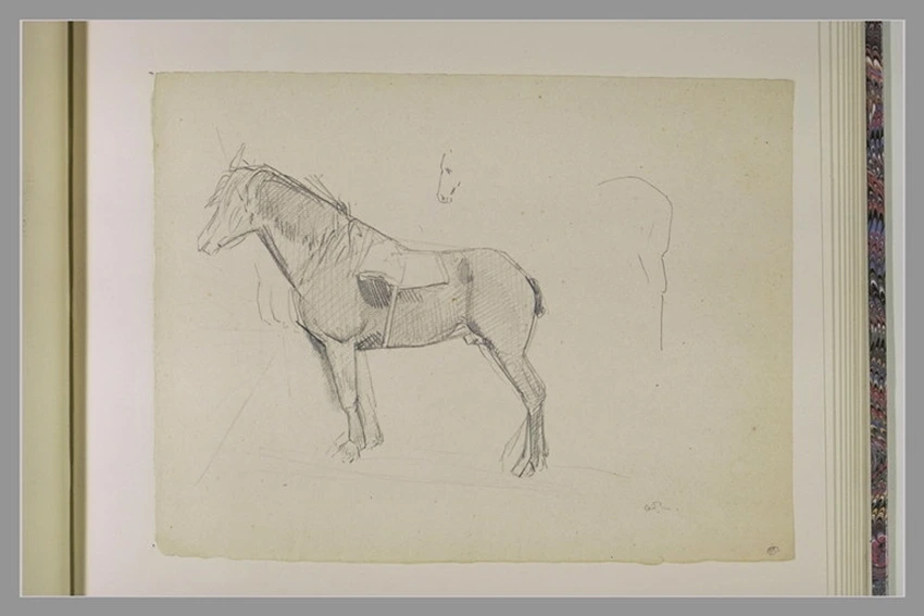 Etude de cheval, croquis d'une tête et d'une croupe de cheval - Odilon ...