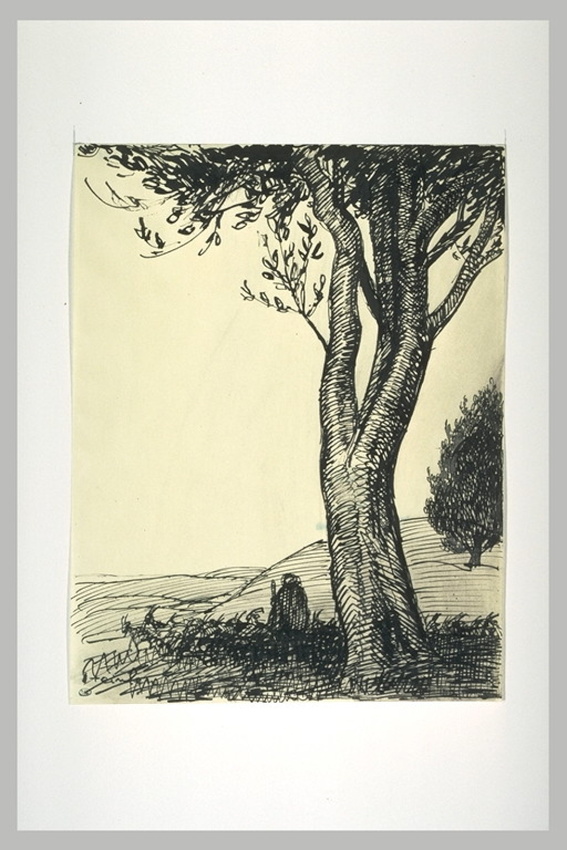 Berger gardant son troupeau de chèvres au pied d'un arbre - Théophile Alexandre Steinlen | Musée ...
