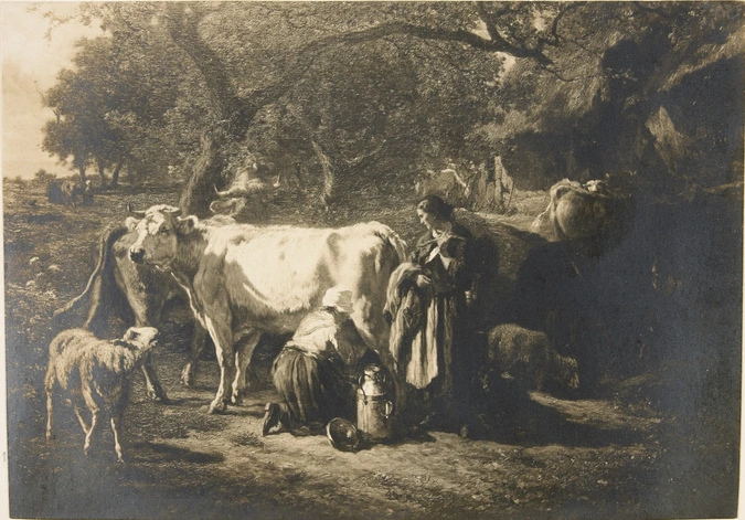 Photographie d'un tableau de Jean Van Marcke (la traite des vaches ...