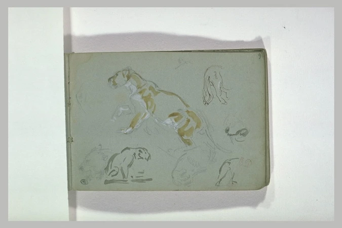 Etudes de fauves - Pierre Andrieu | Musée d'Orsay