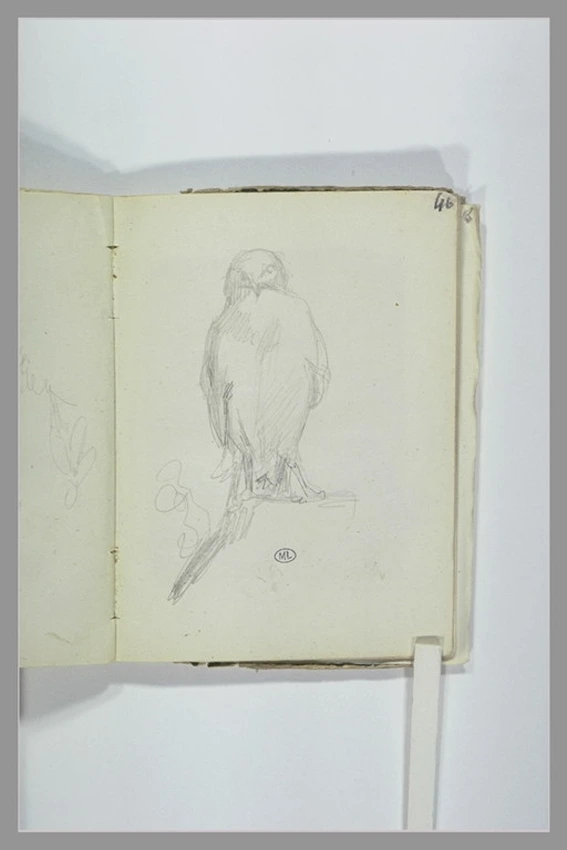 Un rapace - Henri Chapu | Musée d'Orsay