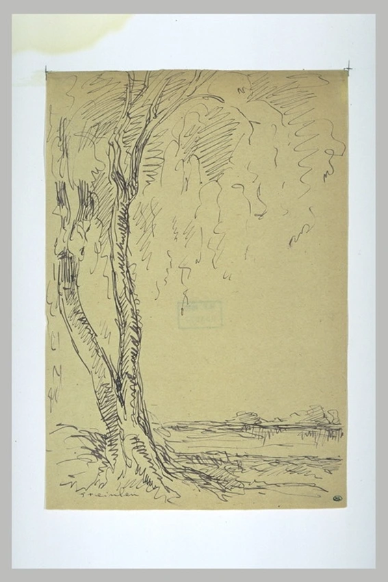 Arbre au tronc dédoublé - Théophile Alexandre Steinlen | Musée d'Orsay