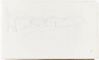 Arbres - Pierre Bonnard | Musée d'Orsay