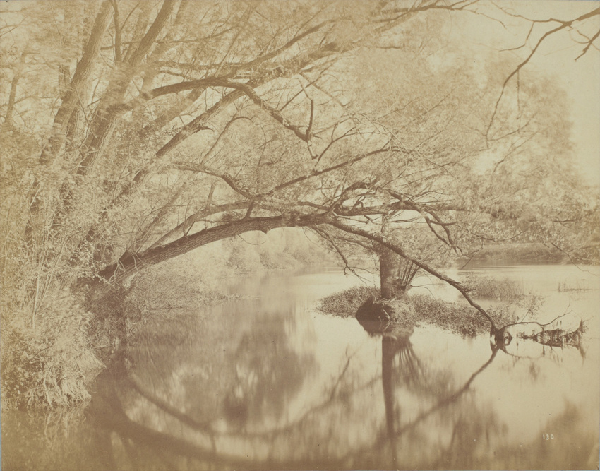 Arbres au bord de l'eau - Achille Quinet | Musée d'Orsay