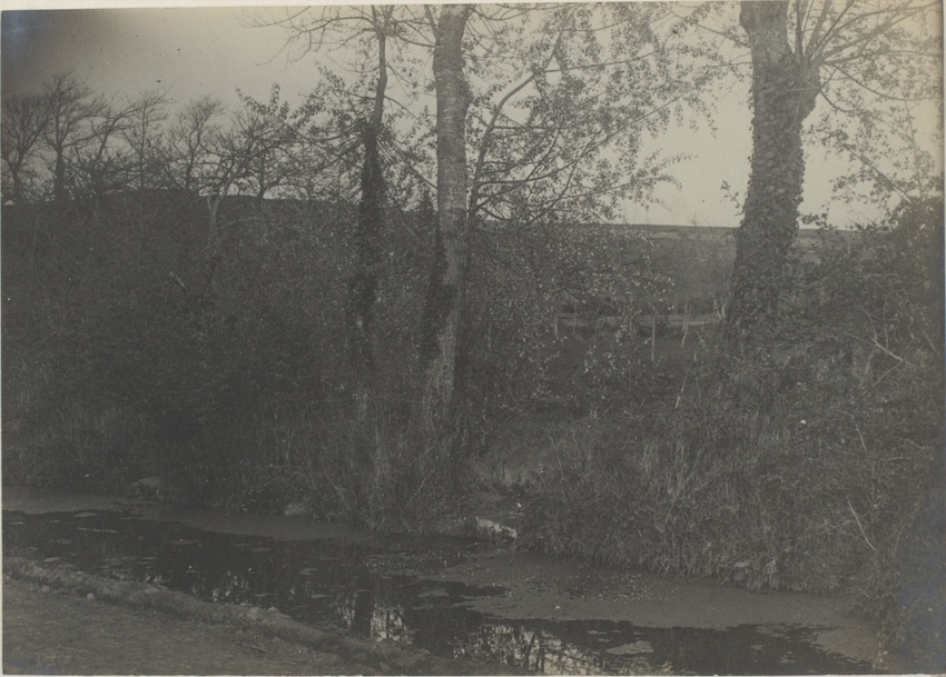 Forêt de Fontainebleau - Théophile Chauvel | Musée d'Orsay