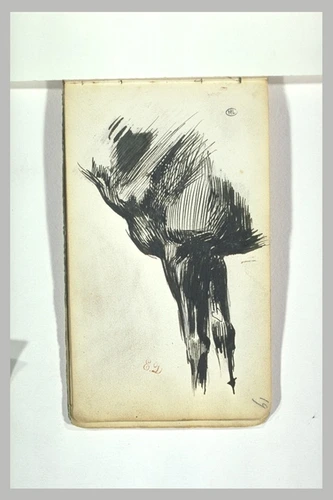 Avant-train d'un animal - Pierre Andrieu | Musée d'Orsay