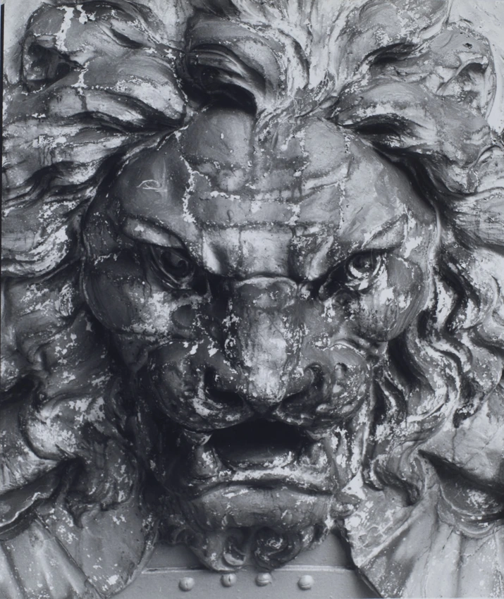 Ecusson de la nef avant restauration ; détail de la tête de lion - Jim ...